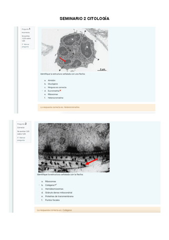 PRUEBA-EV-CONTINUA-2.pdf