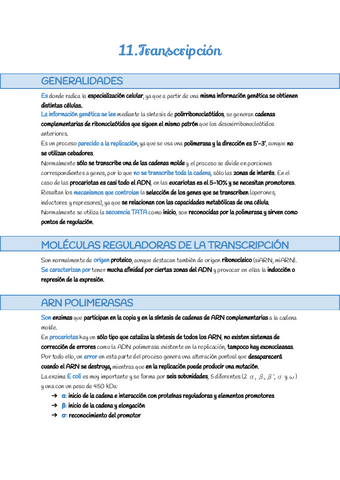 11.Transcripcion.pdf