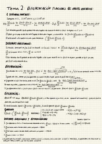 TEMA-2-DFVV-RGC-VILLA.pdf