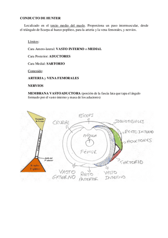 Conducto-de-Hunter.pdf