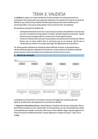 tema-3-validesa-resum.pdf