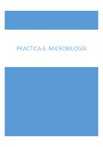 practica-6-micro.pdf