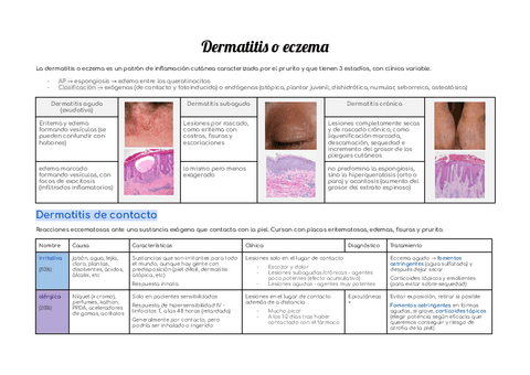 Dermatitis-contacto-fotodermatosis-atopica-y-seborreica.pdf
