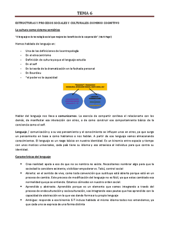 TEMA-6-ESTRUCTURAS-Y-PROCESOS-SOCIALES-Y-CULTURALES-DOMINIO-COGNITIVO.pdf