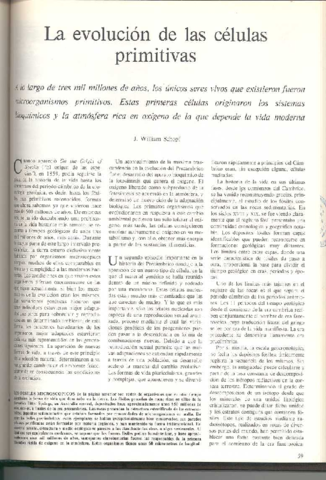 evolucion de las celulas primitivas.pdf