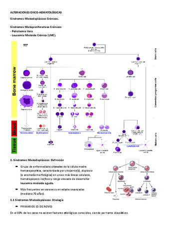 ALTERACIONES-ONCO-3-completo-nrxrz.pdf