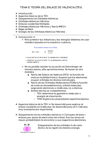TEMA-5-TEV.pdf
