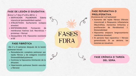 ESQUEMA-FSDA-TEMA-3.png