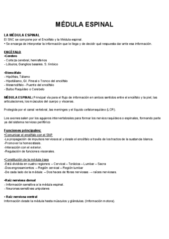 2.3: MEDULA-ESPINAL, ENCÉFALO Y FUNCIONES SUPERIORES FISIO.pdf