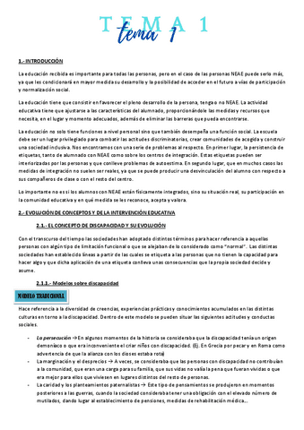 Tema-1-NEAE.pdf