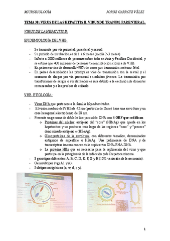 TEMA-38.pdf