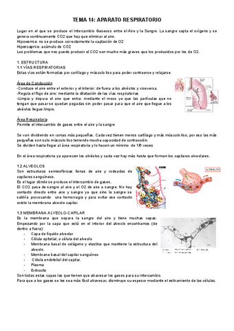 TEMA-14-APARATO-RESPIRATORIO.pdf