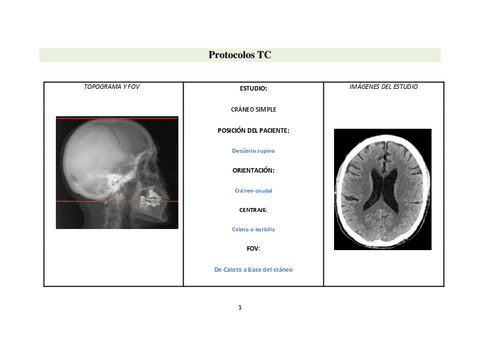Guia-de-protocolos-TC.pdf