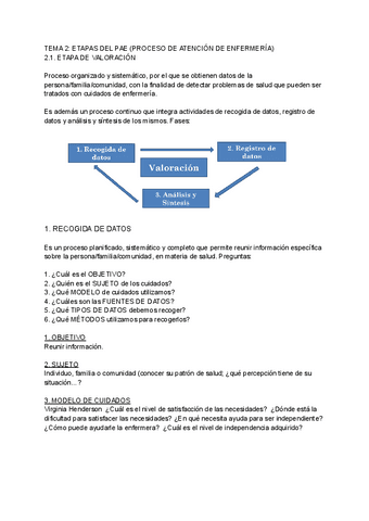 B3-TEMA-2-ETAPAS-DEL-PAE-PROCESO-DE-ATENCION-DE-ENFERMERIA.pdf
