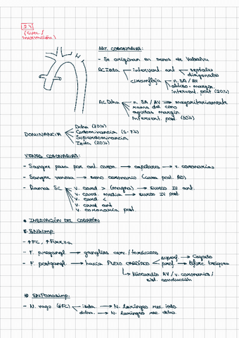 CARDIO-ESQUEMAS-T2.4.pdf