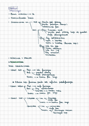 RESPI-ESQUEMAS-T3.2.pdf