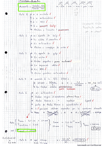PRACTICA-8,9-estructura-fotos.pdf