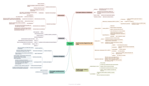 mapa-mental-tema-3.TDAH.pdf