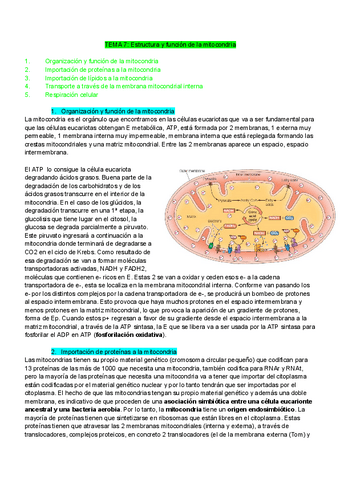TEMA-7-bio-Estructura-y-funcion-de-la-mitocondria.pdf