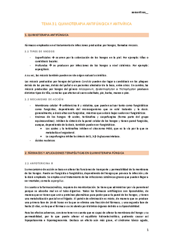 tema-31.pdf