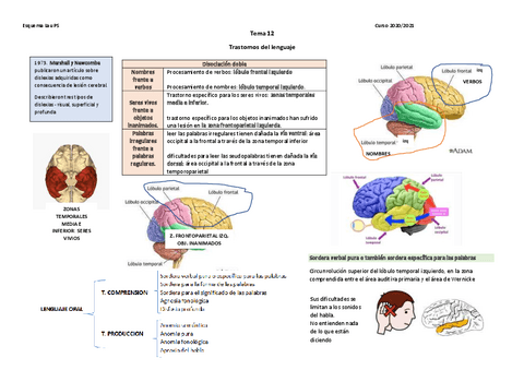 ESQUEMA-TEMA-12.pdf