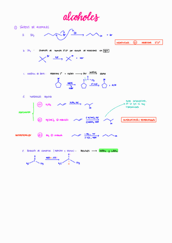Alcoholes.pdf