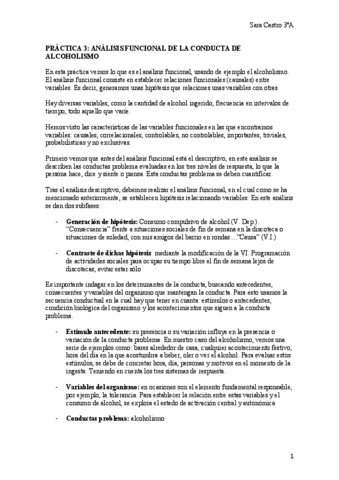 PRACTICA-3-SARA-CASTRO.pdf