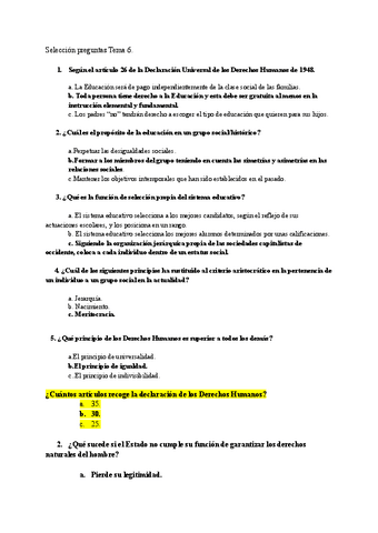 Seleccion-preguntas-Tema-6.pdf