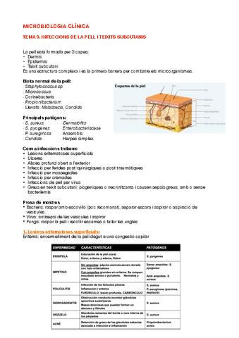 Tema-9-COMPLET-curs-2324.pdf