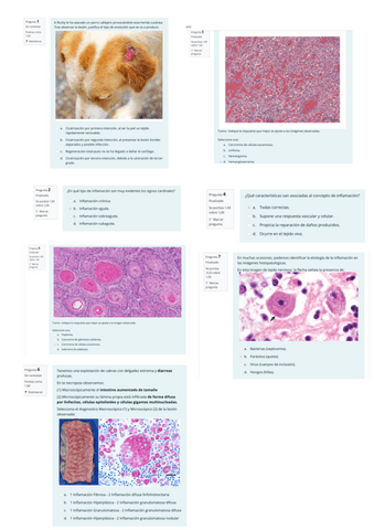 4o-parcial-APG-2023.pdf