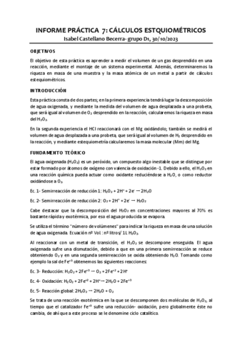 informe-practica-7-calculos-estequiometricos.pdf