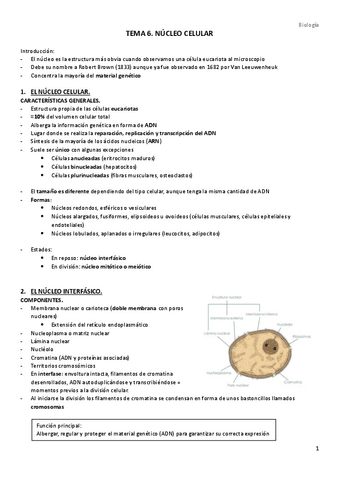 TEMA-6.-Nucleo-celular.pdf