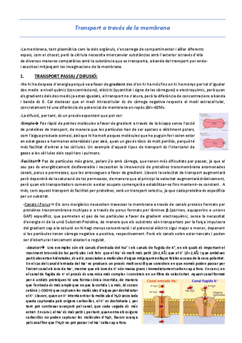 T3-Transport-a-traves-de-membrana.pdf