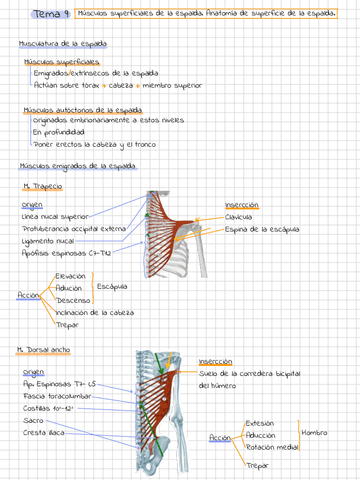 Esquema-tema-9.pdf