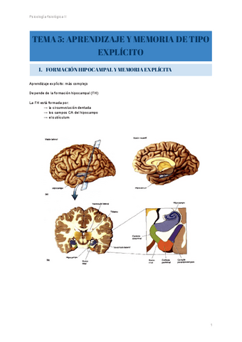 TEMA-5-APRENDIZAJE-Y-MEMORIA-DE-TIPO-EXPLICITO.pdf