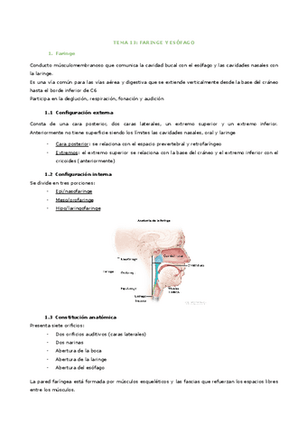 TEMA-13-FARINGE-Y-ESOFAGO.pdf