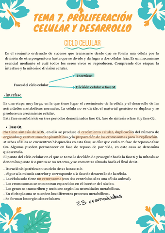 Tema-7.-Proliferacion-celular-y-desarrollo.pdf