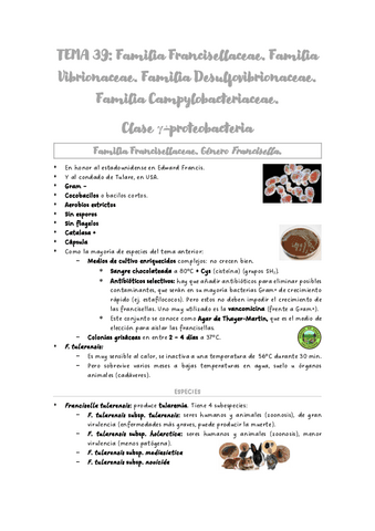 TEMA-39-bacteriologia.pdf