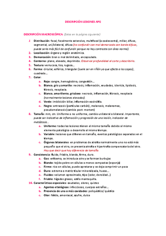 Descripcion-de-lesiones-examen-practico-Anatomia-Patologica-APG.pdf