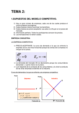 TEMA-2-Micro-Teoria.pdf
