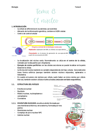 tema-8-el-nucleo.pdf