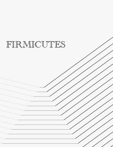 Tema-10.-Firmicutes.pdf