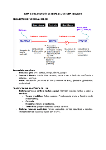 Fisio-I-Neurologia-T1-T4.pdf