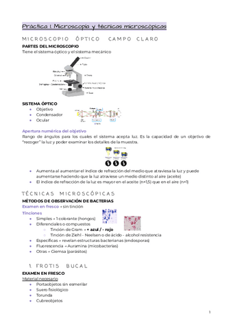 PRACTICAS-DE-MICROBIOLOGIA.pdf