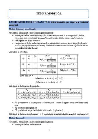 TEMA-6.-MODELOS.pdf