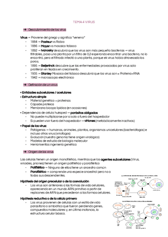 Tema-4-Virus.pdf