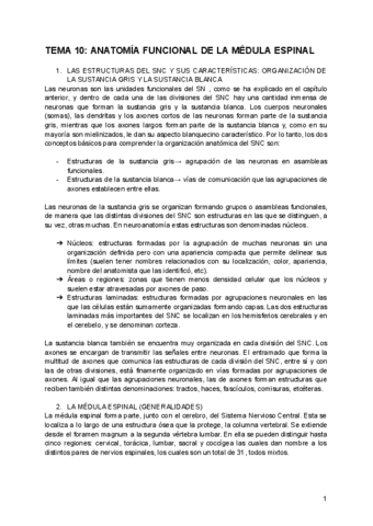 TEMA-10-ANATOMIA-FUNCIONAL-DE-LA-MEDULA-ESPINAL.pdf