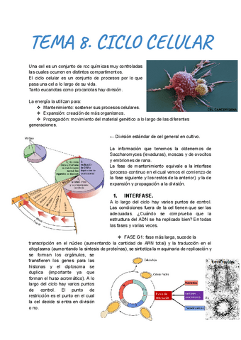 TEMA-8-BIO.pdf