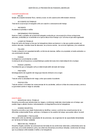 resumen-TODO-importante-PRL.pdf