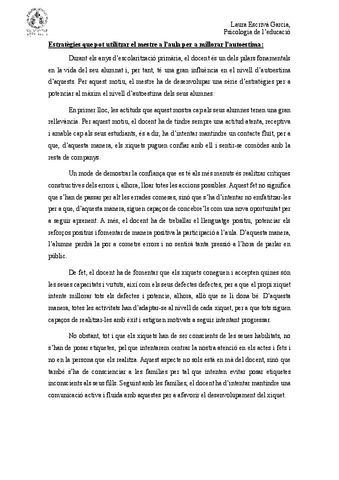 Reflexio-individual.pdf